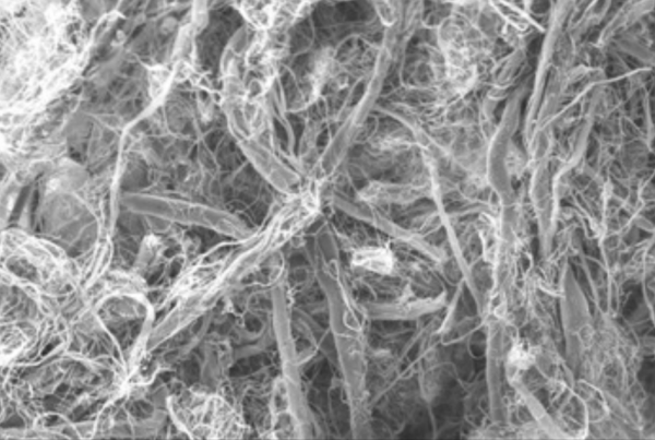 Aramid Pulp, Star Product at Nanchang 23rd International Friction ...